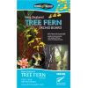 Tree Fern Orchid Boards Twin Pack - Orchid Den
